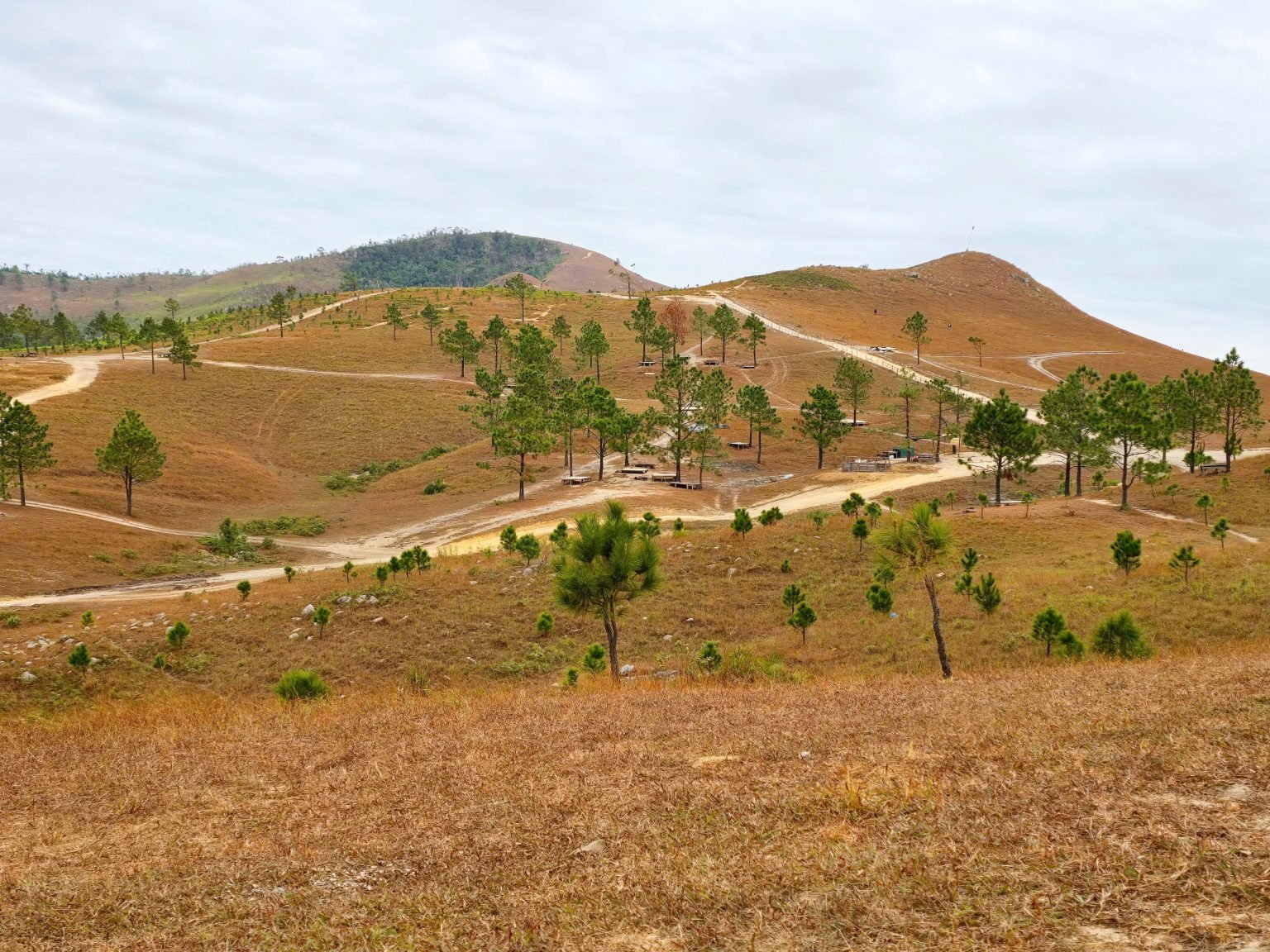 Discover “Phoenix” Hill in the yellow grass season - KameSteps